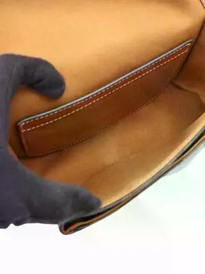 Celine Medium Triomphe Coated Canvas Crossbody Bag