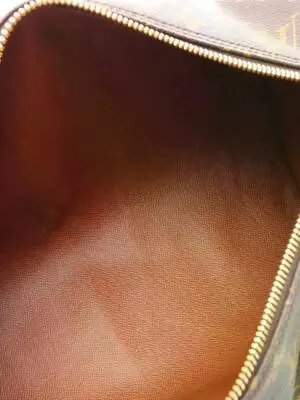 LOUIS VUITTON Monogram Papillon 30 Handbag