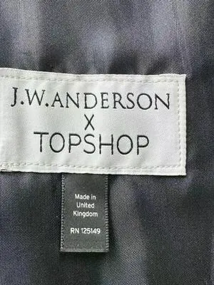 JW Anderson 2013 Pleated Skirt