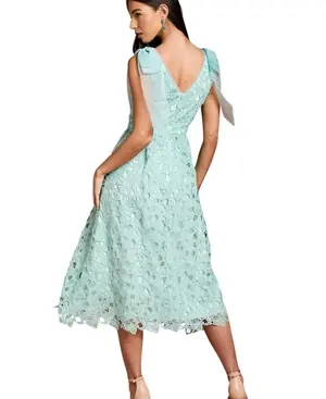 Coast Organza Lace Dress - Mint