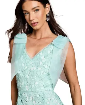 Coast Organza Lace Dress - Mint