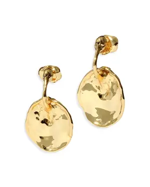 Alexis Bittar Brut Coin Front To Back Earrings
