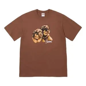 Supreme Fw26 Puppies T-shirt - Brown