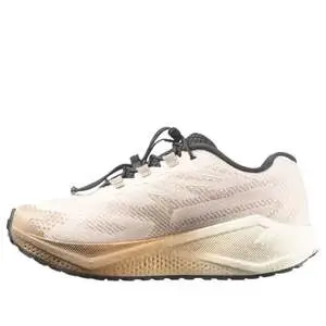 SALOMON Aero Blaze 4 Grvl Sneakers - Tapioca/vanilla Ice/black