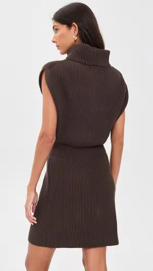 Splendid Marigold Mini Sweater Dress