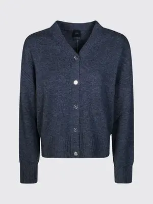 Pinko V-neck Wool And Cashmere Blend Cardigan With Button Closure