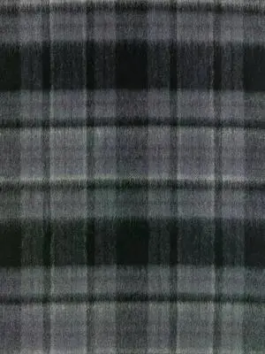 Carhartt Work In Progress Parson Check-pattern Scarf - Blue