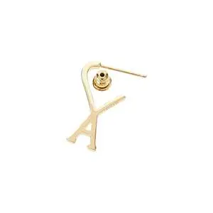 AMI Paris De Coeur' Earrings