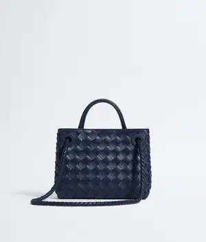 Bottega Veneta Mini Andiamo