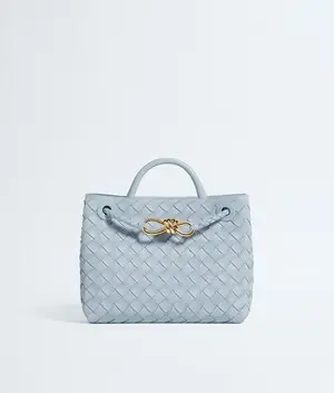 Bottega Veneta Small Andiamo - Glacial