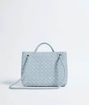 Bottega Veneta Small Andiamo - Glacial