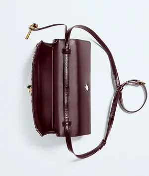 Bottega Veneta Andiamo Clutch 25