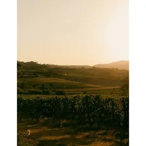 FUTURE CHATEAU Reserve Blanc 2026
