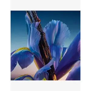GUERLAIN L'heure Bleue Scented Soap 120g
