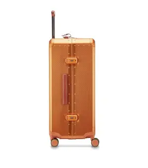 DELSEY Alur Spinner Suitcase