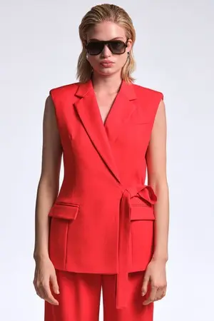 Bcbgmaxazria Morgan Vest