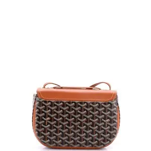 Goyard 233 Bag Coated Canvas And Leather