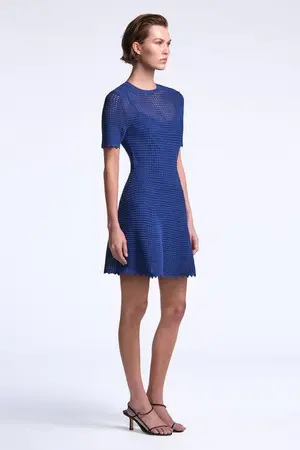 Bcbgmaxazria Maisie Knit Mini Dress With Short Sleeves And Fit-and-flare Silhouette