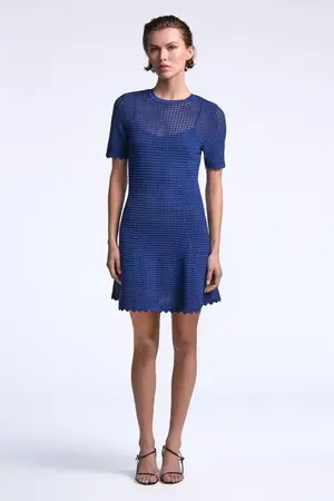 Bcbgmaxazria Maisie Knit Mini Dress With Short Sleeves And Fit-and-flare Silhouette
