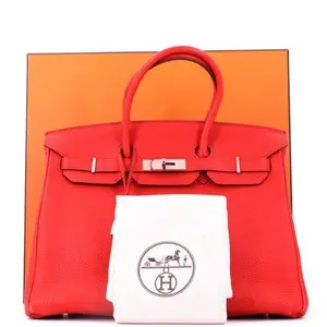 Hermès Birkin Handbag Togo With Palladium Hardware 35