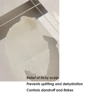 ELVIS+ELVIN Purifying Shampoo With Dead Sea Salt