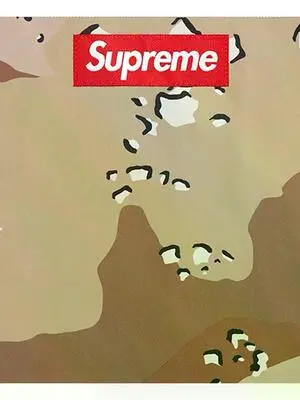Supreme Windstopper Camouflage-print Neck Gaiter
