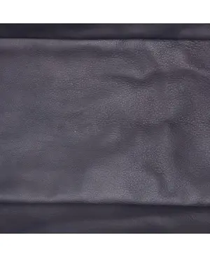 Goyard Pm Anjou Reversible Tote Coated Canvas