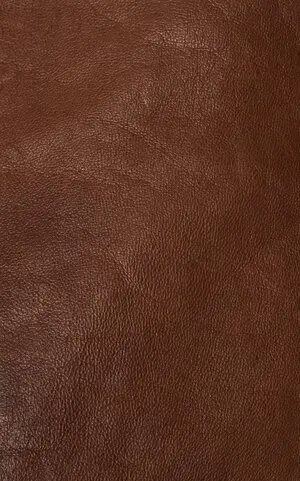 TWP Hunter Leather Jacket