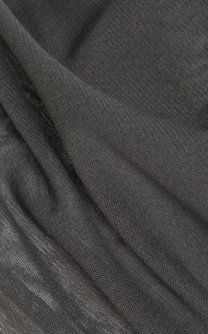 LEMAIRE Ballerina Tulle Top