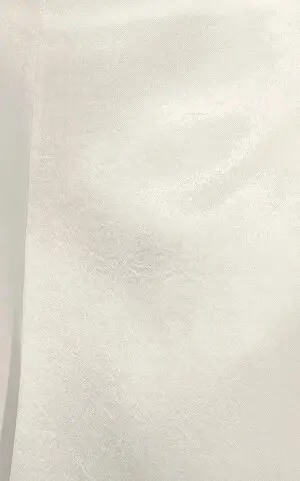 Bottega Veneta Satin Midi Slip Skirt