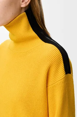 Loewe Zip-up Sweater In Wool