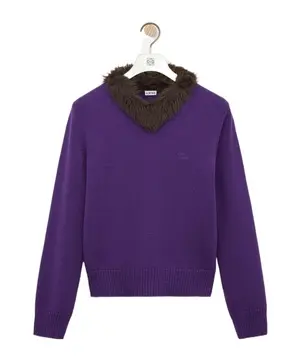Loewe Sweater In Wool