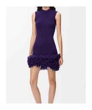 Loewe Sleeveless Wool Blend Dress With Fur Trim - Purple