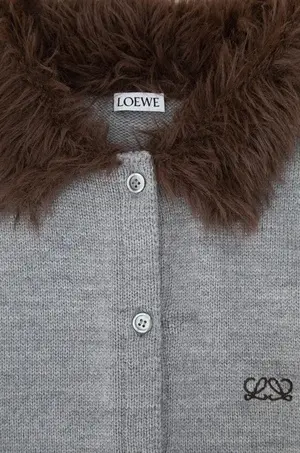 Loewe Cardigan In Wool