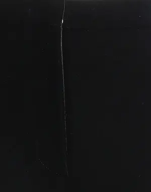 Sportmax Straight-leg Trousers