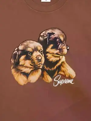Supreme Puppies Graphic-print T-shirt - Brown
