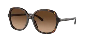 COACH Tortoiseshell Sunglasses - Brown Gradient