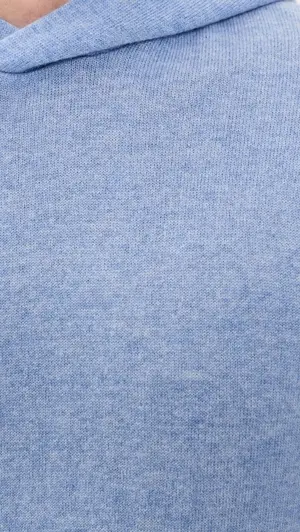 Greyson Koko Cashmere Blend Hoodie Sweater