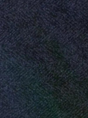 Faliero Sarti Resky Herringbone-pattern Fringed Scarf