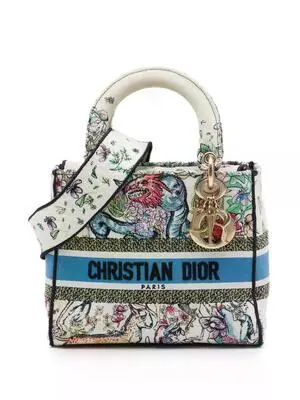 Dior 2022 Medium Embroidered Canvas D Constellation Lady D Lite Satchel