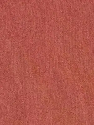 Faliero Sarti Adriel Fringed Scarf