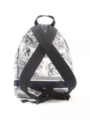 Dior Toile De Jouy Travel Technical Fabric Small Backpack