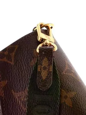LOUIS VUITTON Felicie Strap & Go Bag