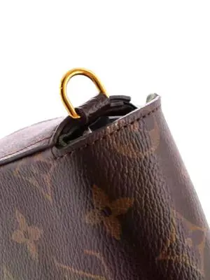 LOUIS VUITTON Felicie Strap & Go Bag