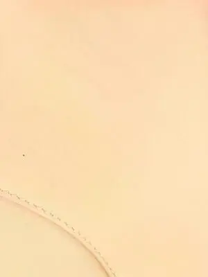 Dior DIOR Saddle Leather Mini Belt Bag Neutrals