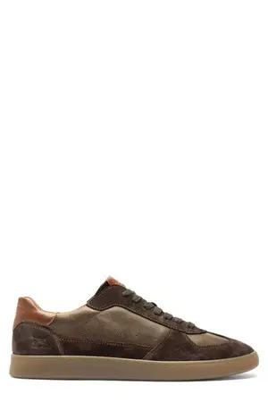 Rodd & Gunn Swanson Street Sneaker - Chocolate