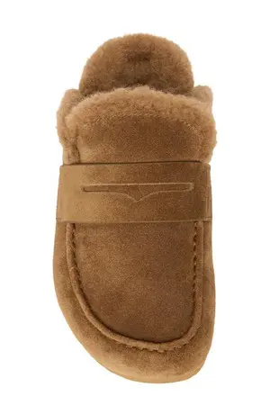 Paige Wynn Faux Fur Lined Leather Loafer Mule