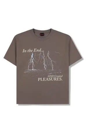 PLEASURES End Times Graphic T-shirt - Mocha