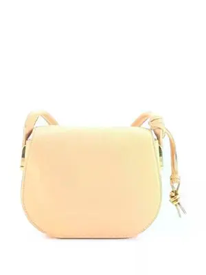 Bottega Veneta Desiree Leather Mini Crossbody Bag