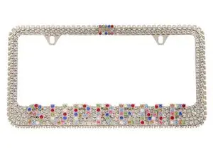 Supreme B.b. Simon License Plate Frame - Silver